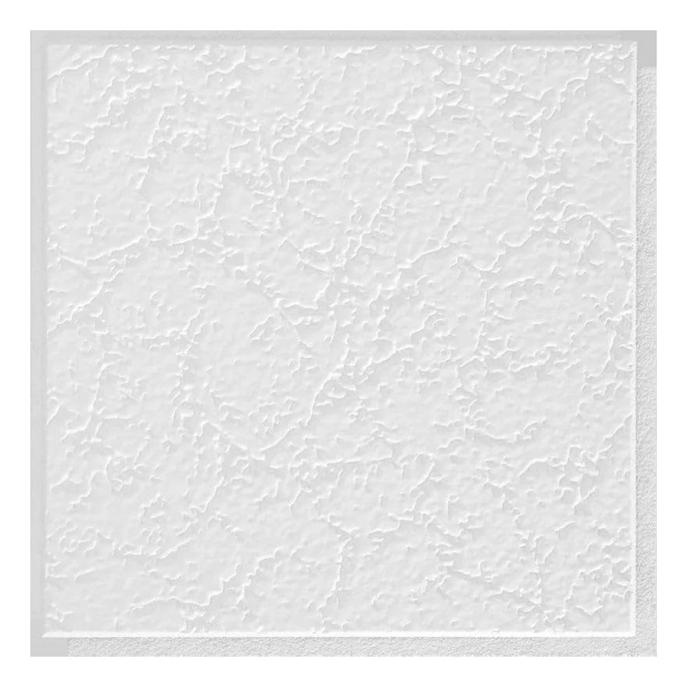 Armstrong 1/2 in. x 12 in. x 12 in. Grenoble Ceiling Tile at Moscow ...