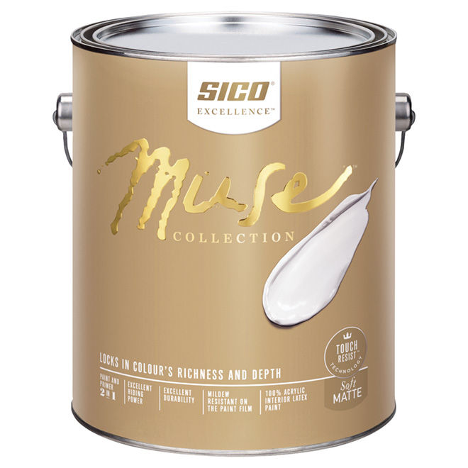 Flat/Matte Paint | Interior Paints