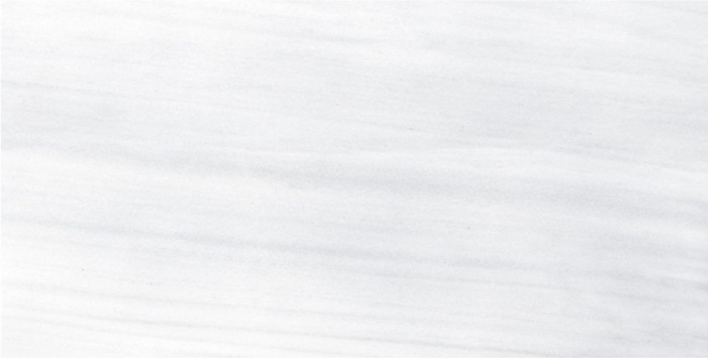 Classic Macael White 12X24 Matte 9.68 Sq. Ft. at Doug Ashy Building ...