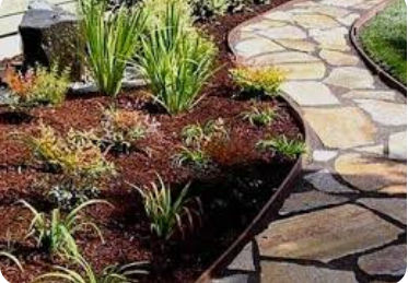 Redwood Bender Board | Redwood