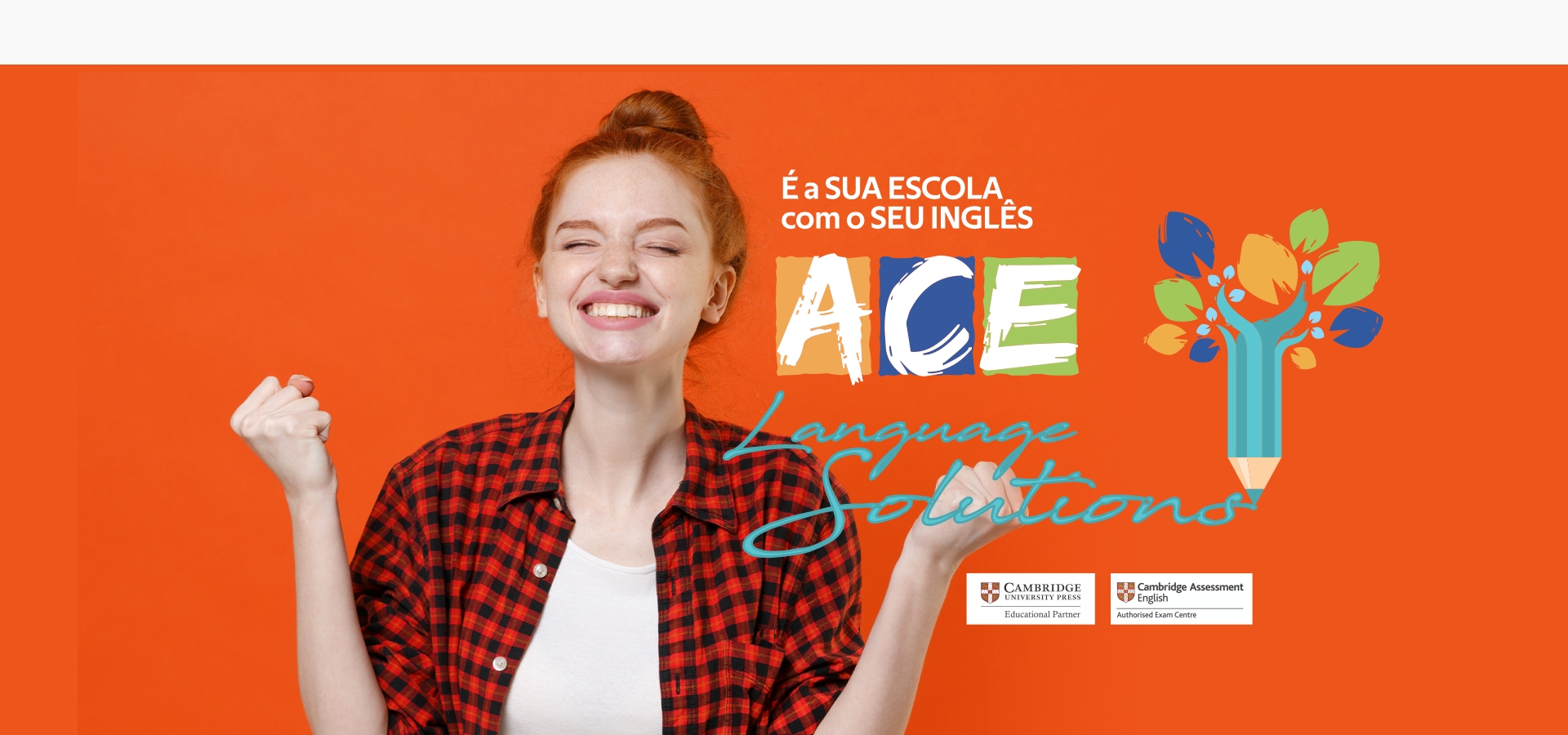 Catálogo - ACE Online