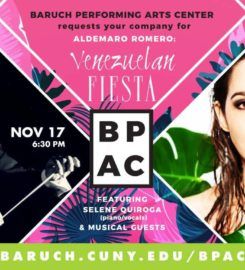 Baruch Performing Arts Center - 5 Photos & 0 Reviews - Arts ...