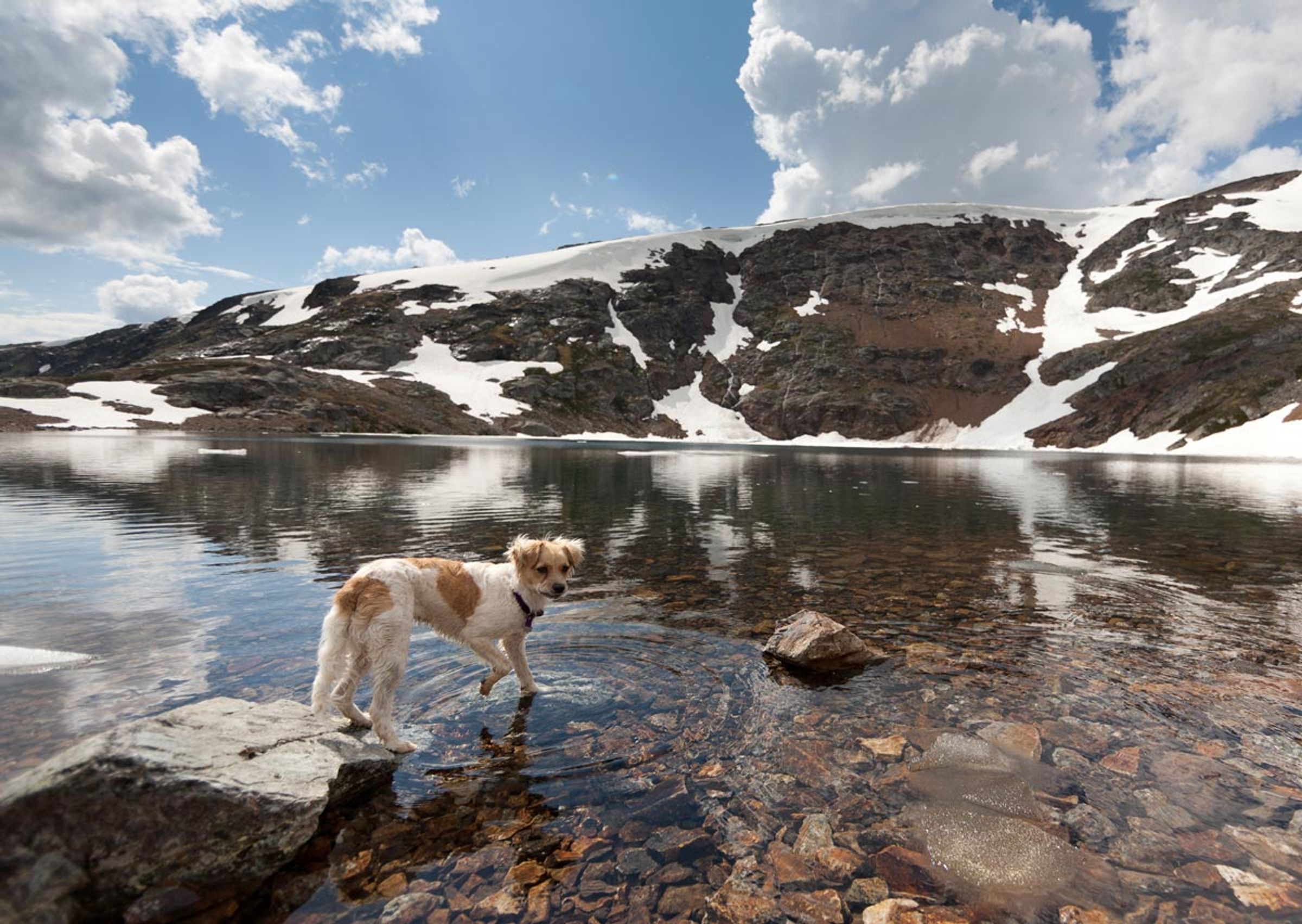 Hiking & Walking | Things to do | Tourism Smithers