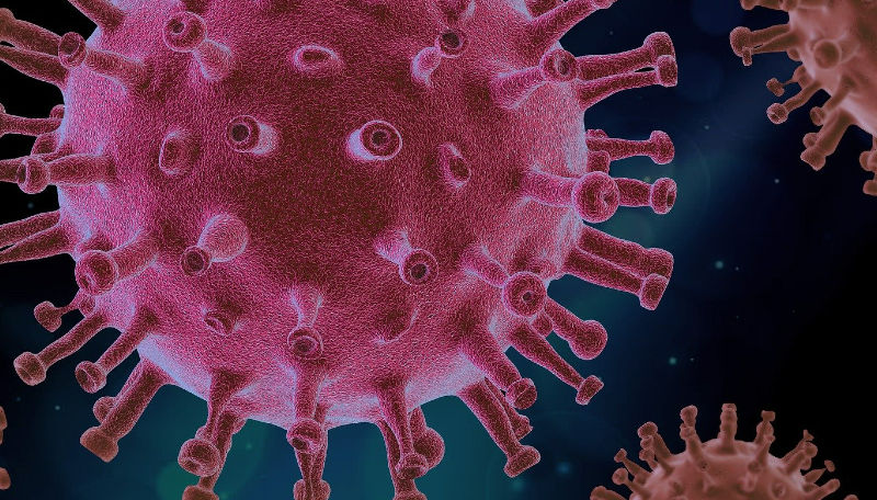 Bitkom says 37% of Germans still use coronavirus app - Telecompaper