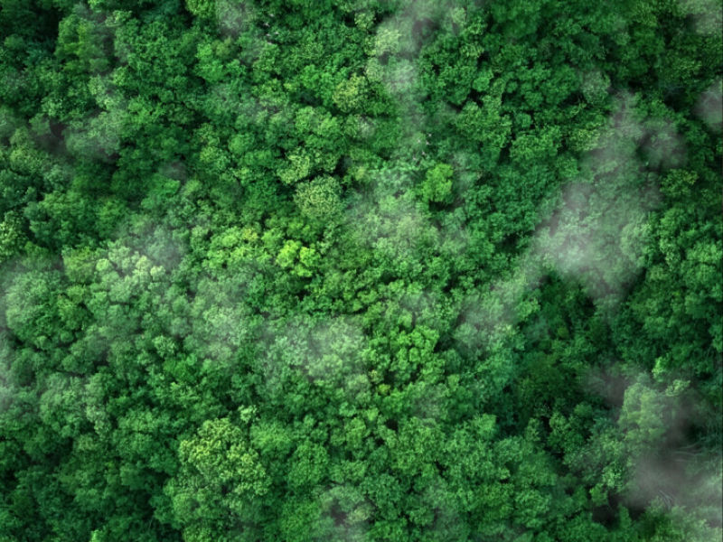 Telkomsel unveils integrated ESG strategy - Telecompaper