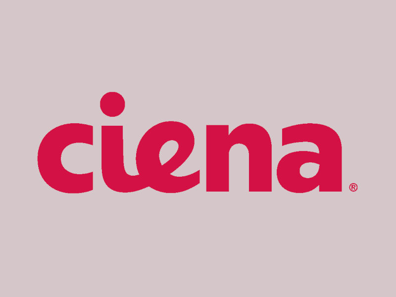 Ciena's Vesta 200 brings 6.4T optical engine to AI data centres ...