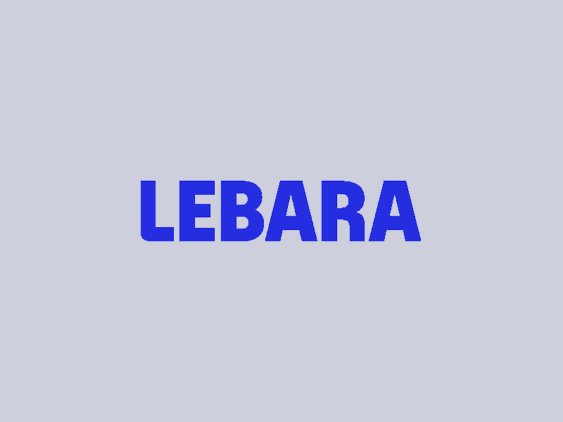 Lebara Nigeria launches LebaraPlay entertainment platform - Telecompaper