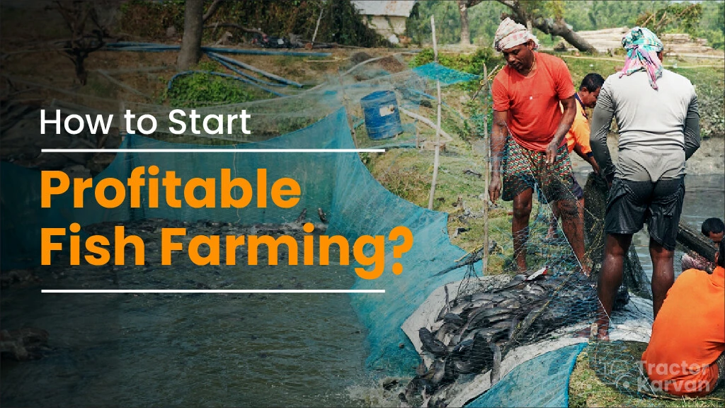 How to Start Fish Farming Business in India