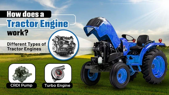 Understanding the Transmission and It's Components