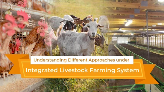 Livestock Sector in India – Types, Importance & Benefits