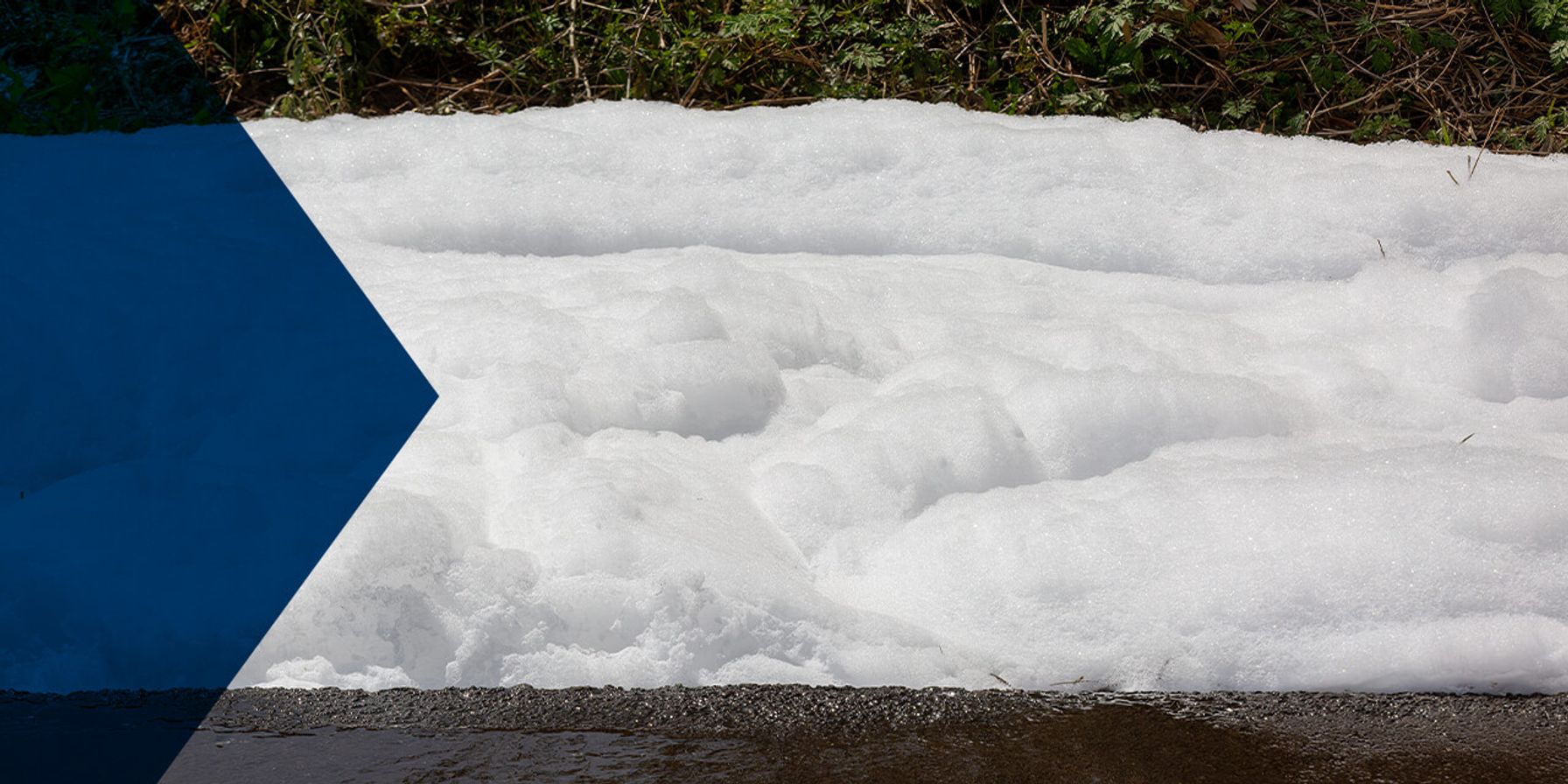 How Does PFAS Contamination Impact the Environment? | TRC