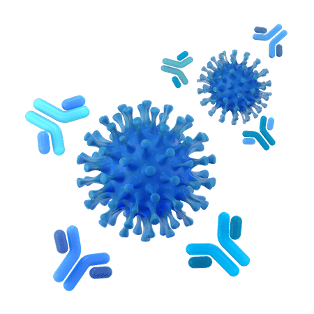 COVID-19 Antibody in Bangalore - Trident Diagnostics
