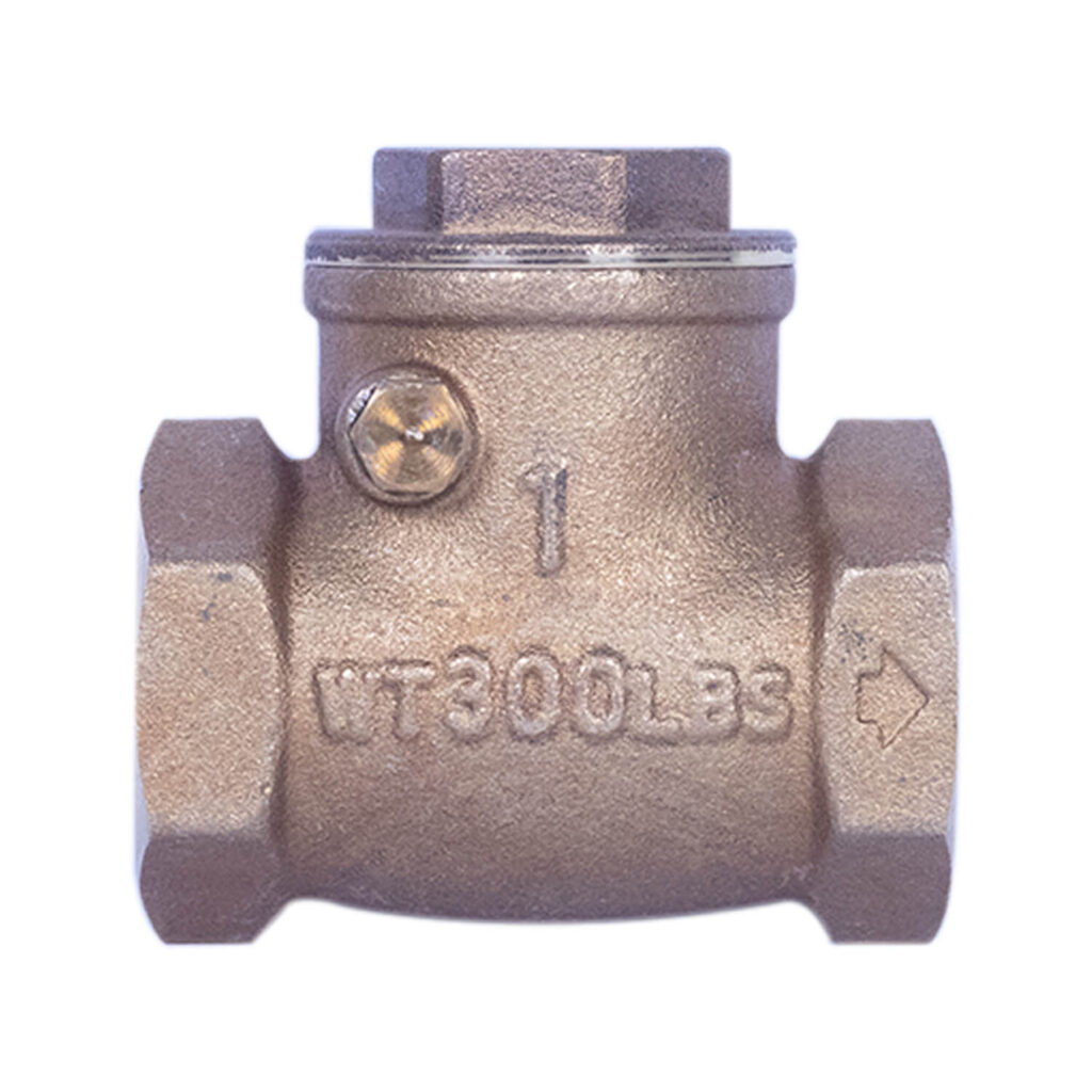 Vertical Check Valve (1") - Tacloban Ultrasteel Corporation