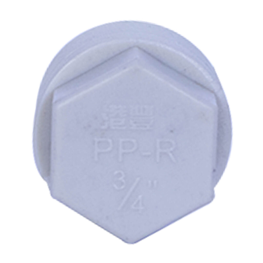 PPR Male Plug 25mm (3/4") - Tacloban Ultrasteel Corporation