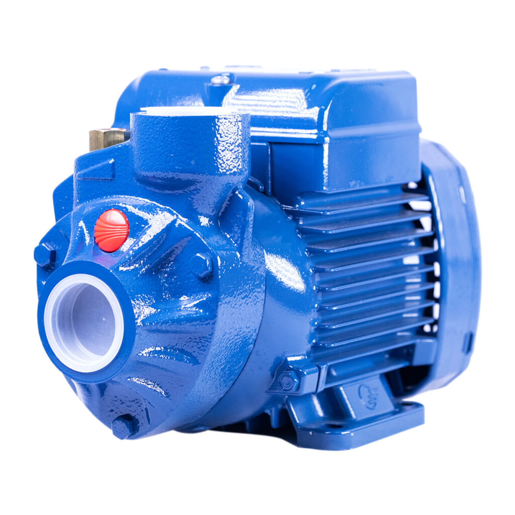 Pedrollo Water Pump Multi-Stage 3CRm100N 0.75hp Stainless - Tacloban ...