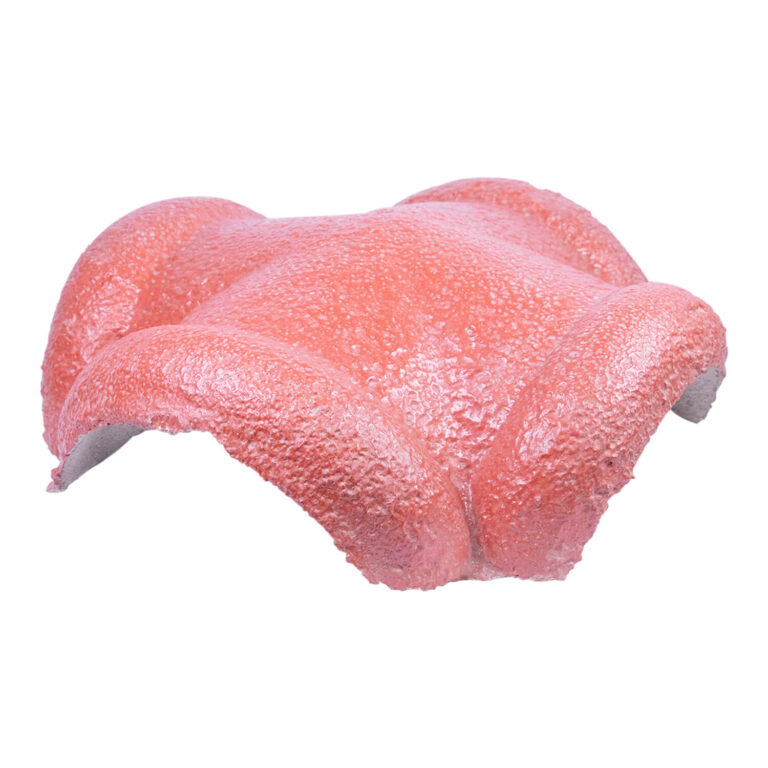 4 Way Apex (Round) Tile Red - Tacloban Ultrasteel Corporation