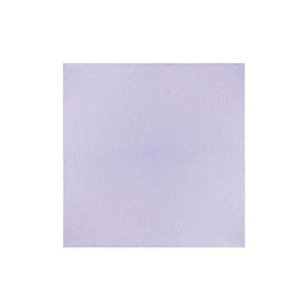 Pavers Non-Skid Ramp Waffle 25mm No Color - Tacloban Ultrasteel Corporation