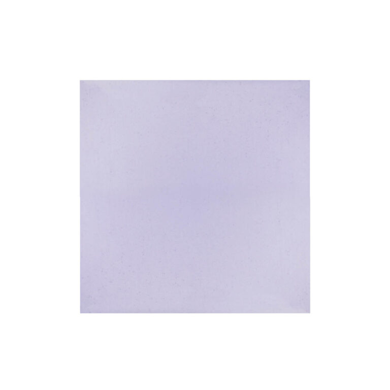 Pavers Non-Skid Ramp Waffle 25mm No Color - Tacloban Ultrasteel Corporation