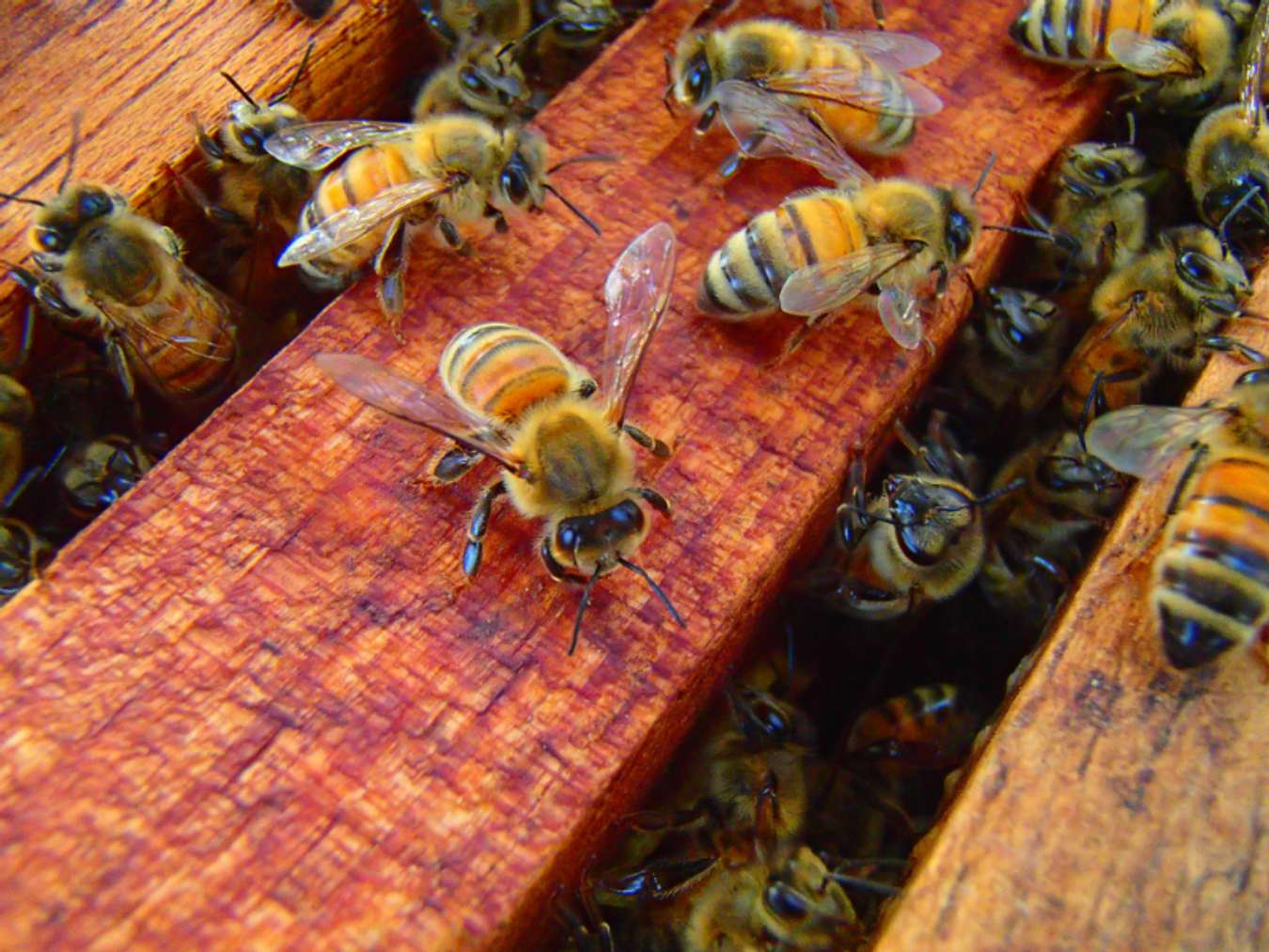 Things to do in La Union besides surfing