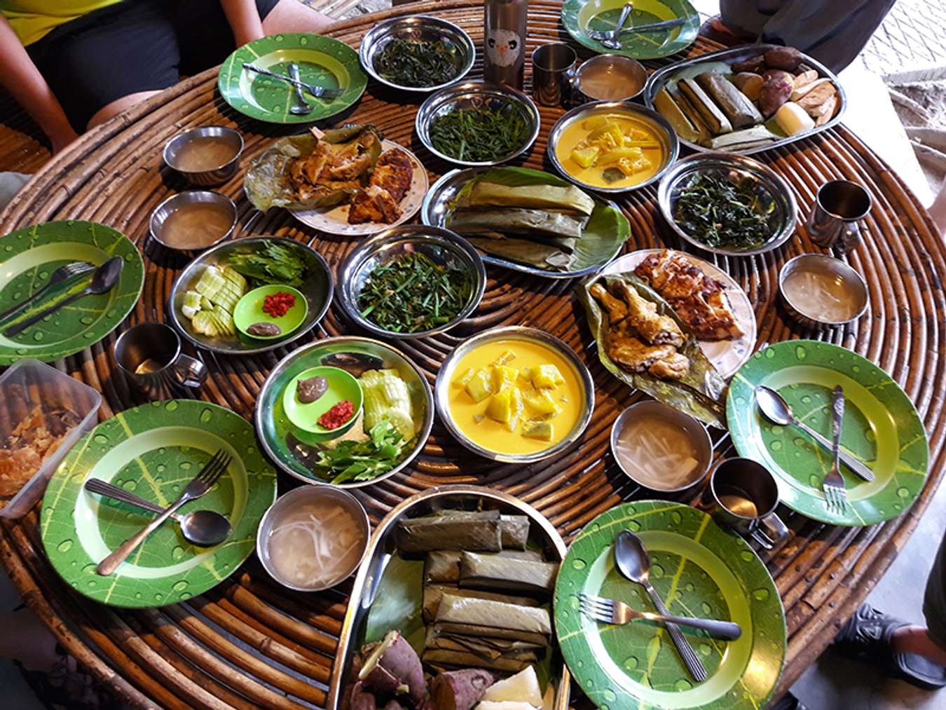 Rain Forest Inn: A refreshing retreat from the urban jungle