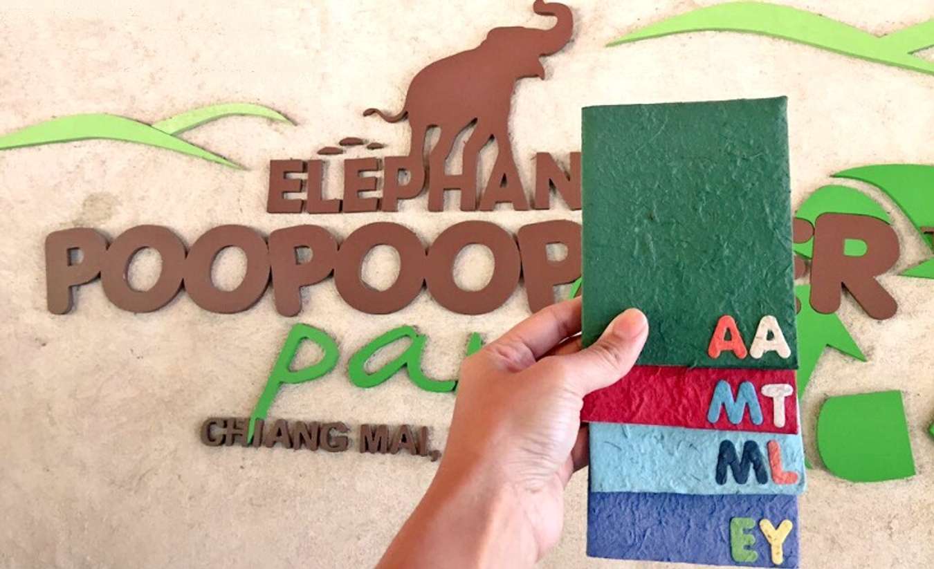 5 fun & unconventional things to do in Chiang Mai with the family