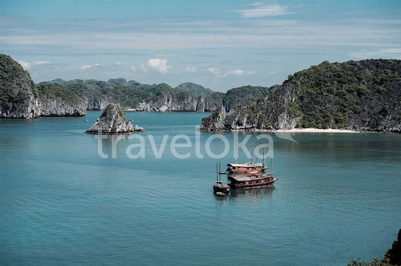 Monkey Island Resort - khu nghỉ dưỡng cao cấp bạn sẽ yêu ngay từ cái ...