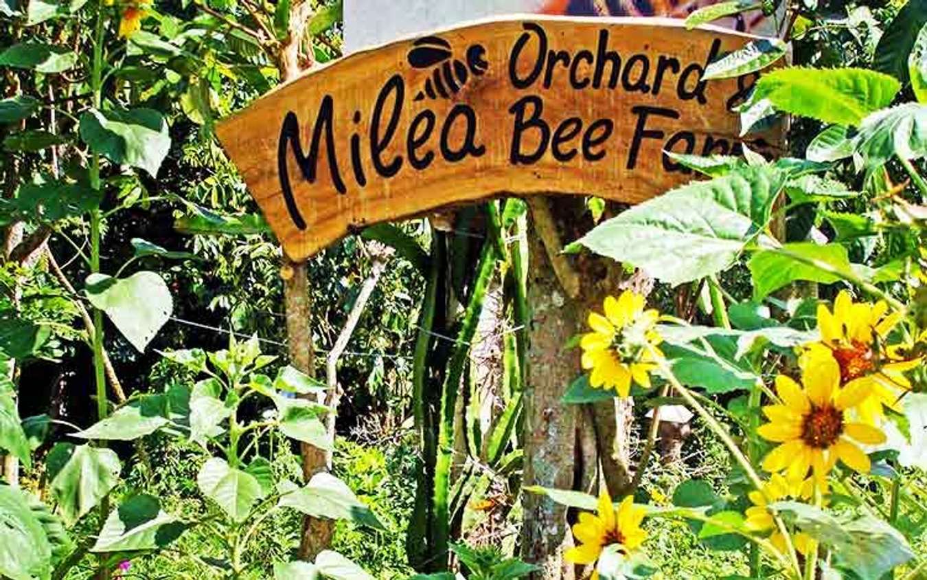 10 Fun & Unique Things to Do in Batangas