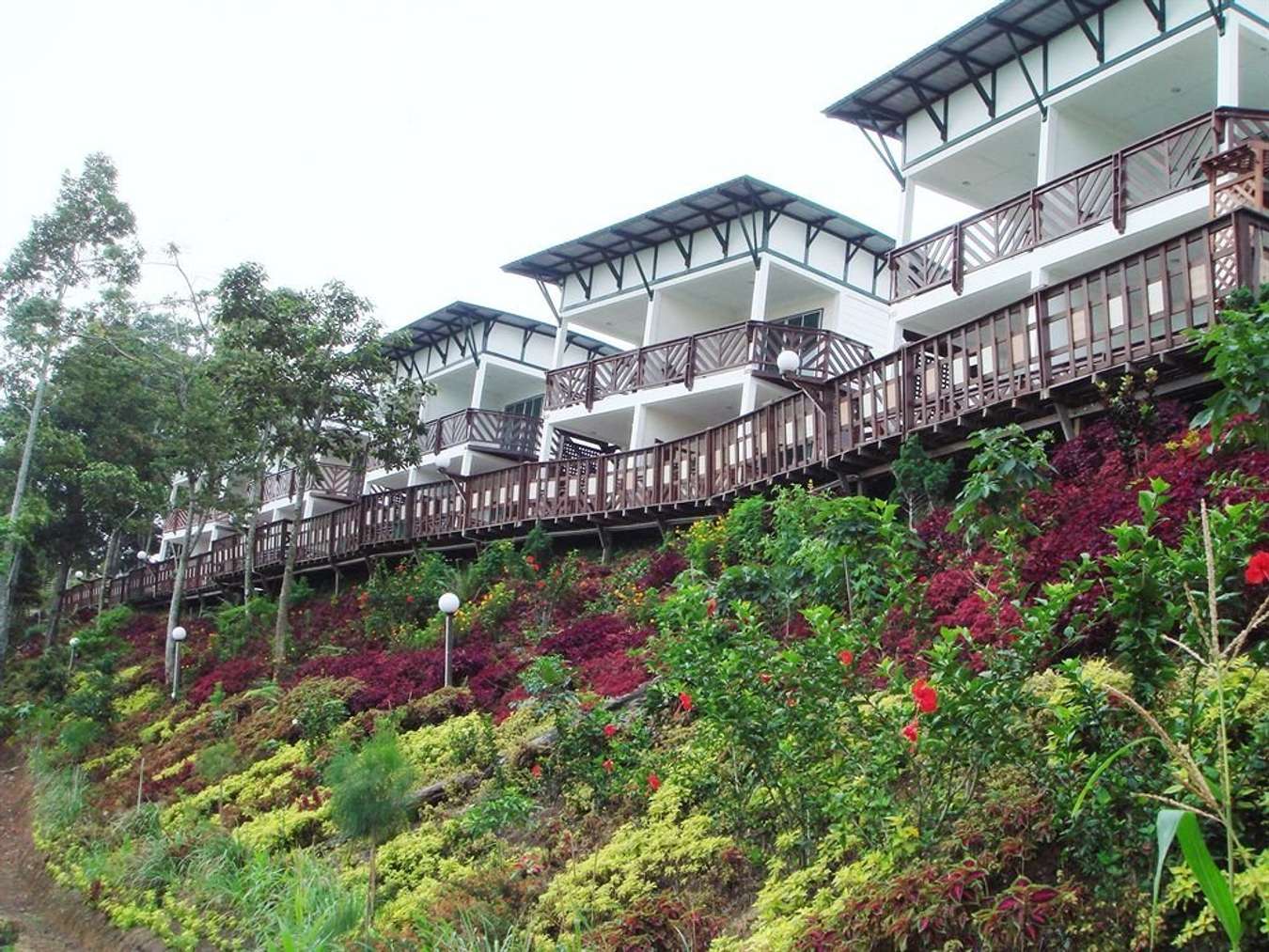 Discover the spectacular scenery of Mount Kinabalu at these refreshing ...