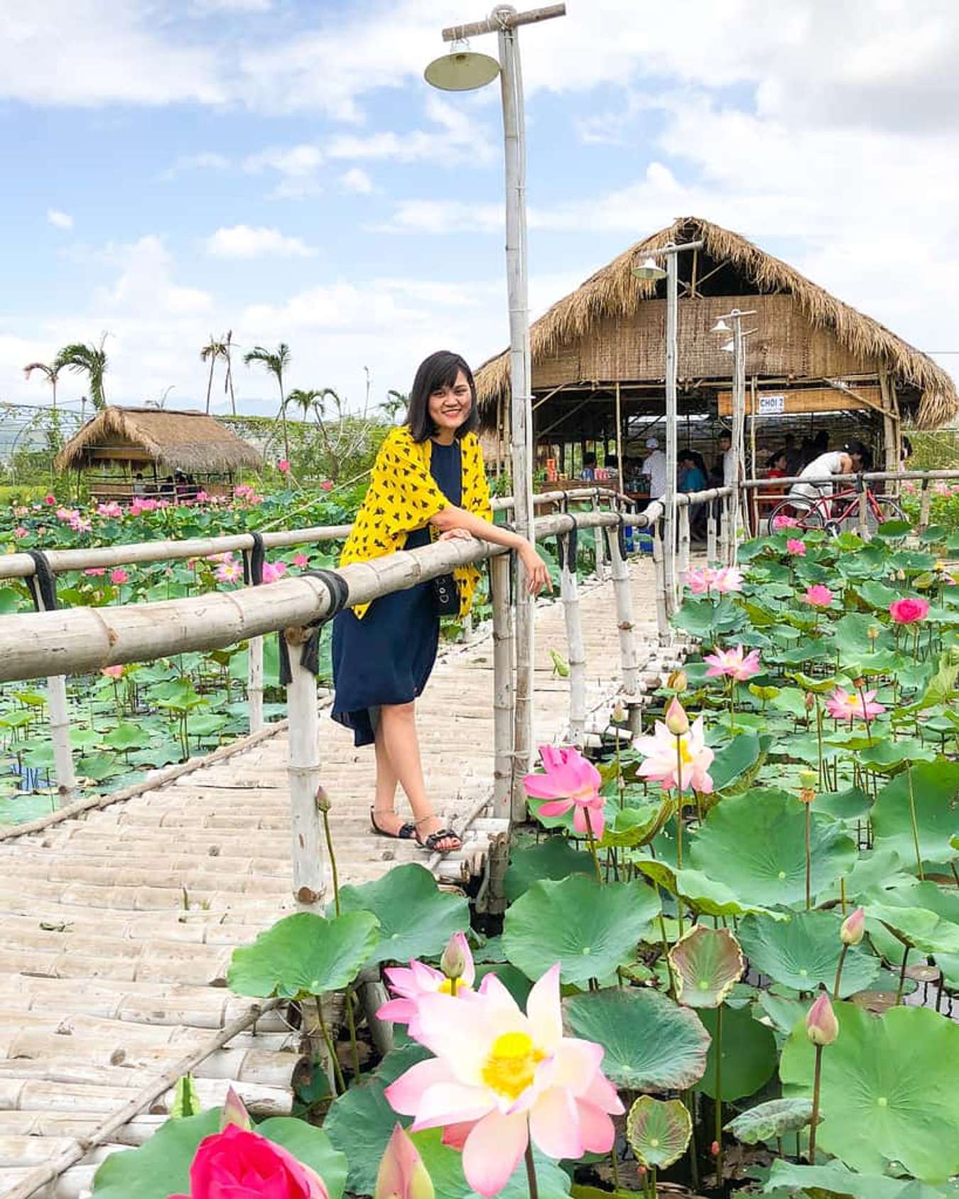 Những cánh đồng sen bạt ngàn, đẹp hút hồn của Việt Nam