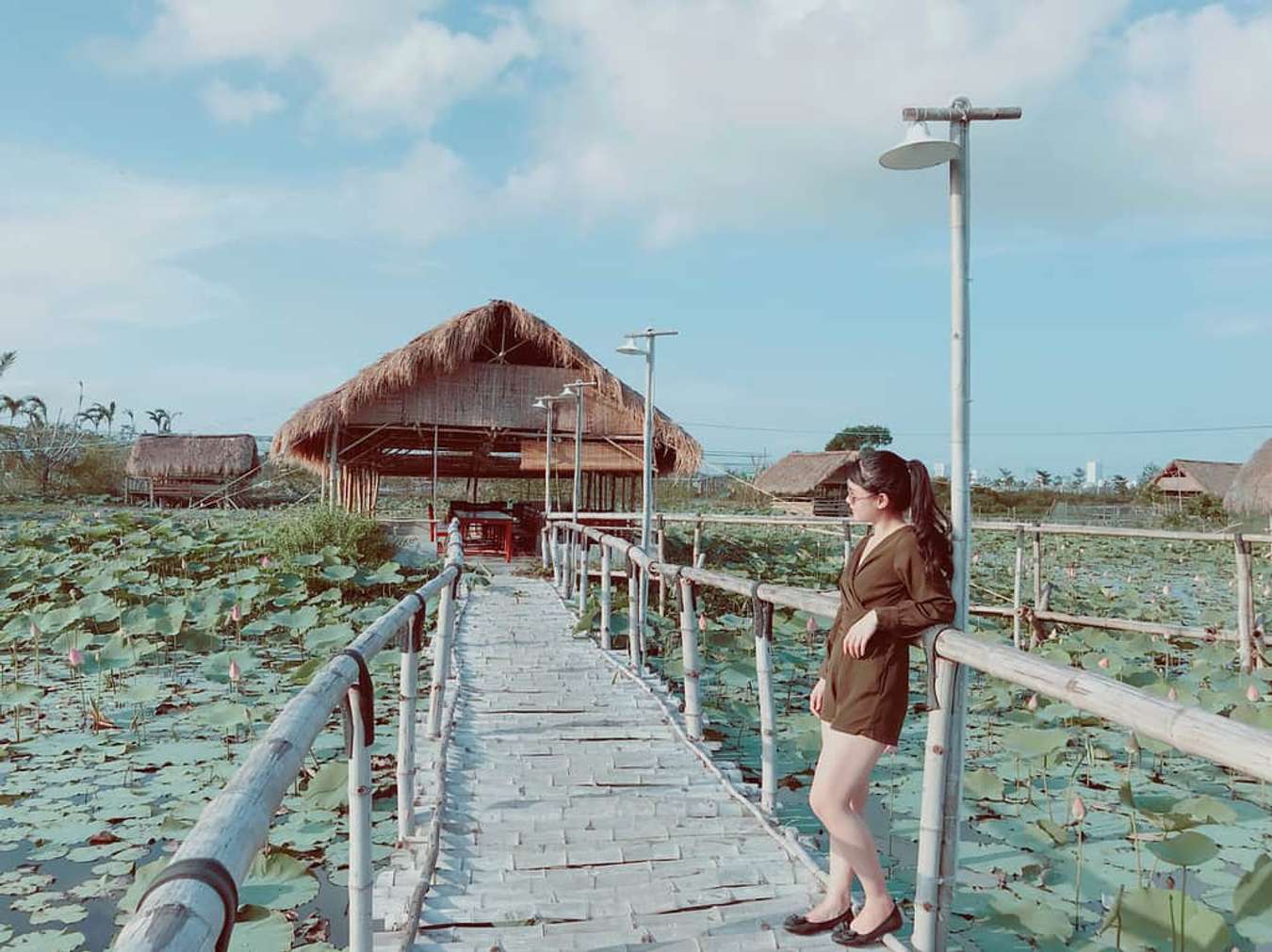Những cánh đồng sen bạt ngàn, đẹp hút hồn của Việt Nam