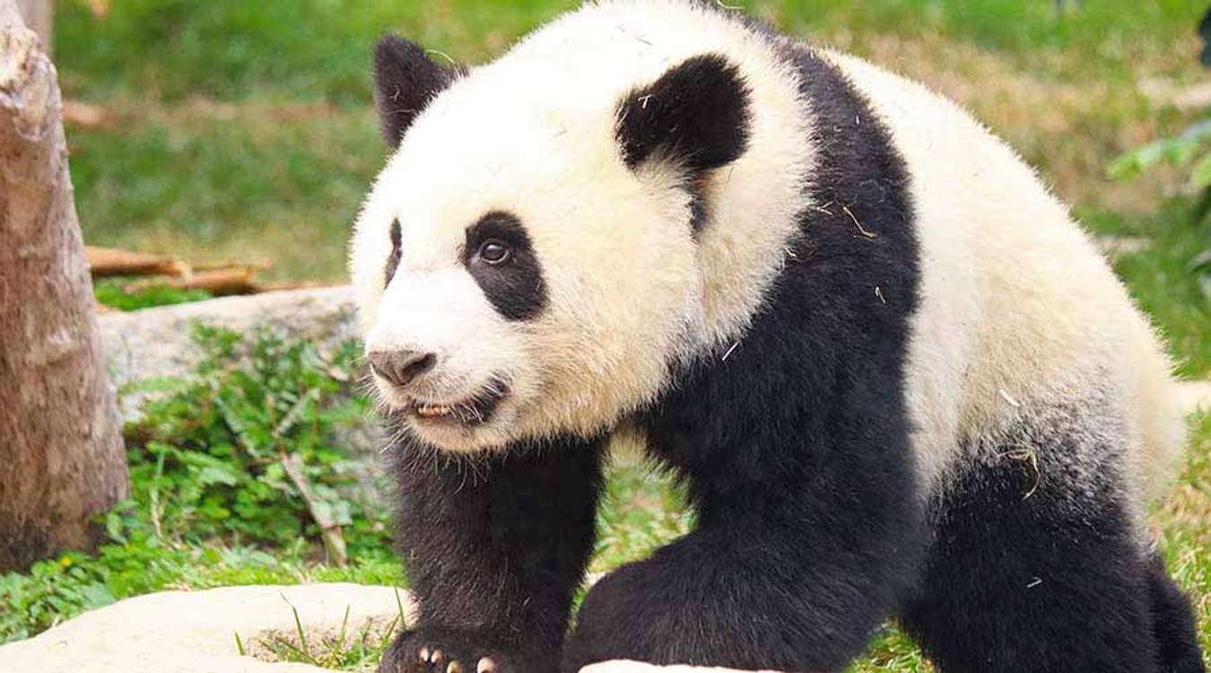 10 Spectacular Tourist Spots in Macau