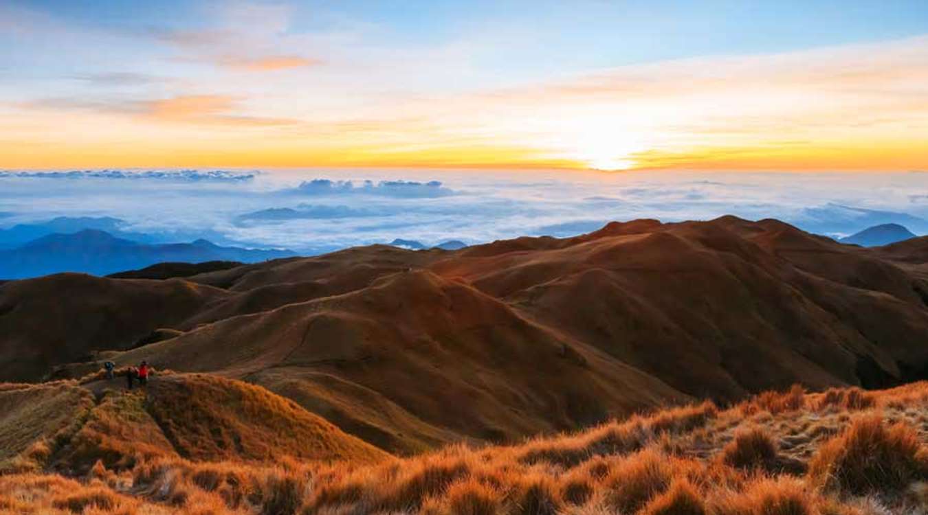 Panagbenga Festival: Guide to Baguio's Blooming Celebration