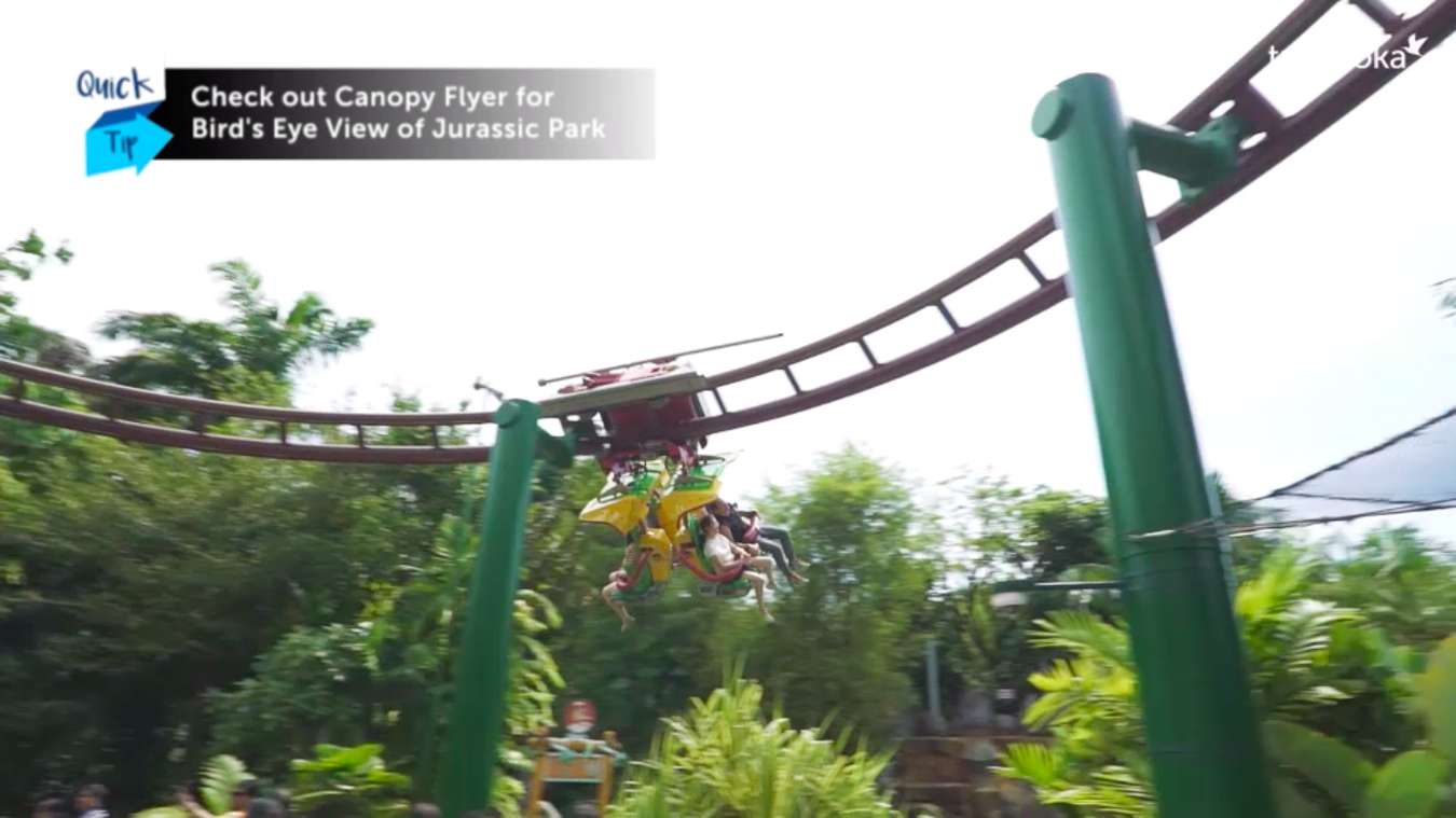 The ultimate guide to Universal Studios Singapore & Adventure Cove ...