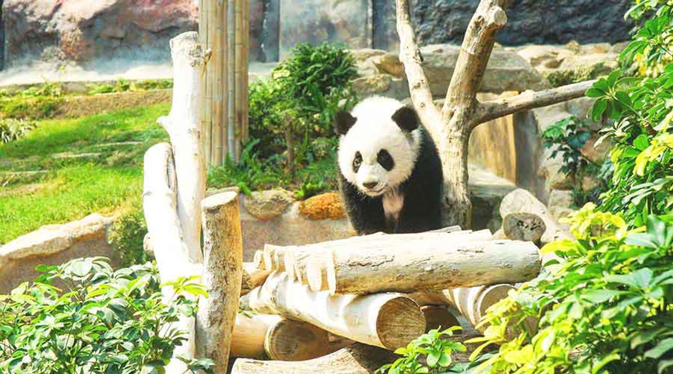 10 Fun Things to Do in Macau