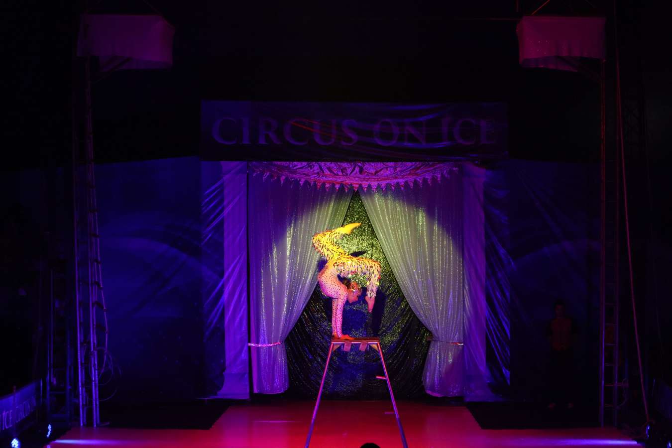 7 reasons why you’ll love the Great British Circus on Ice