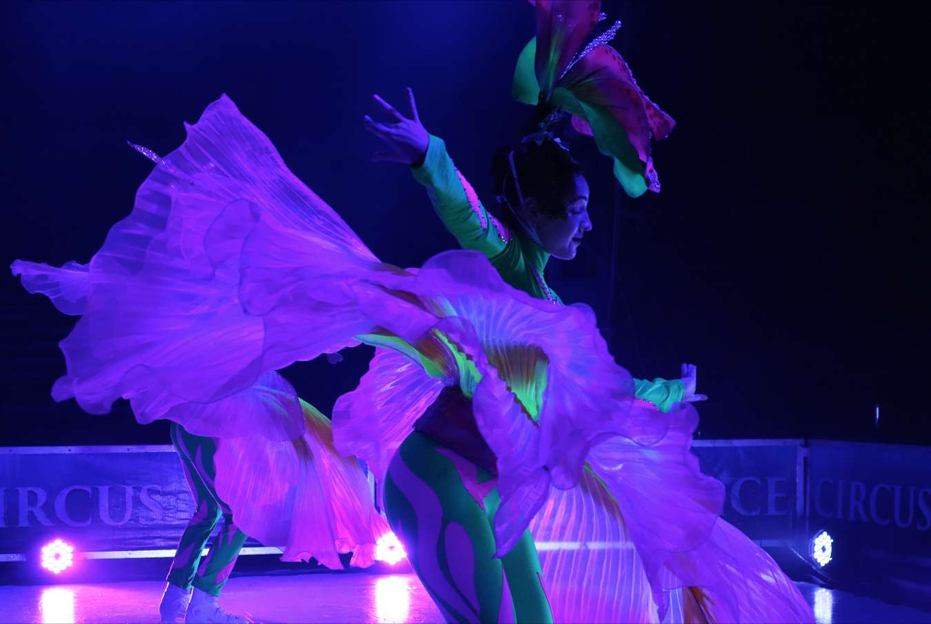 7 reasons why you’ll love the Great British Circus on Ice