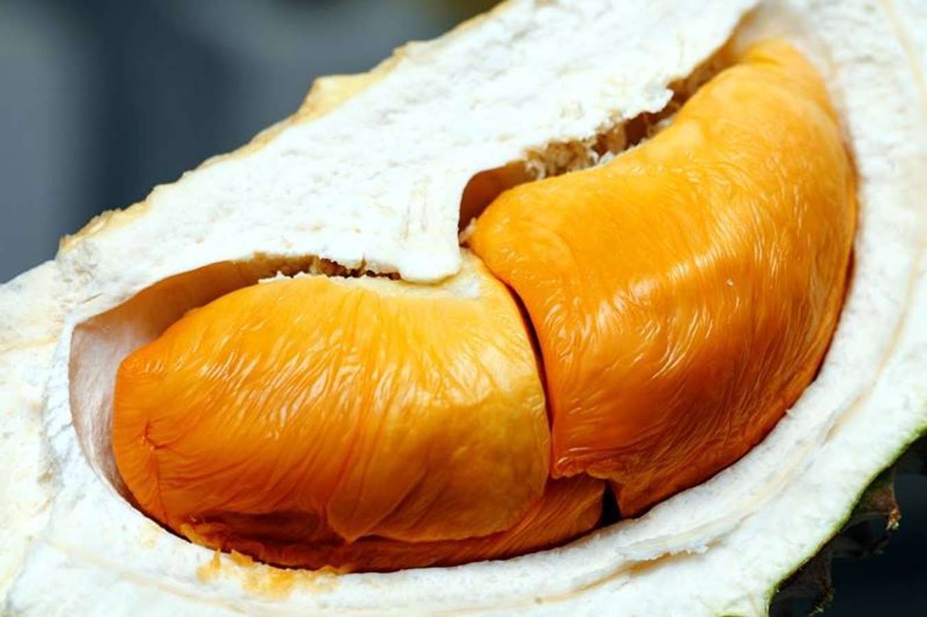 Kenali raja buah Malaysia: 7 jenis durian terbaik yang perlu dinikmati ...