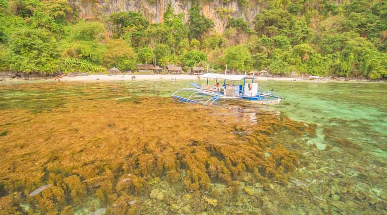 6 Best Coron Beaches for the Perfect Getaway