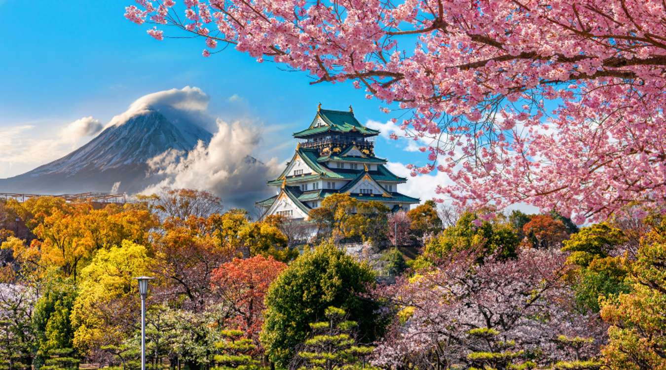 Why You Need the Osaka Amazing Pass for Your Next Trip to the City