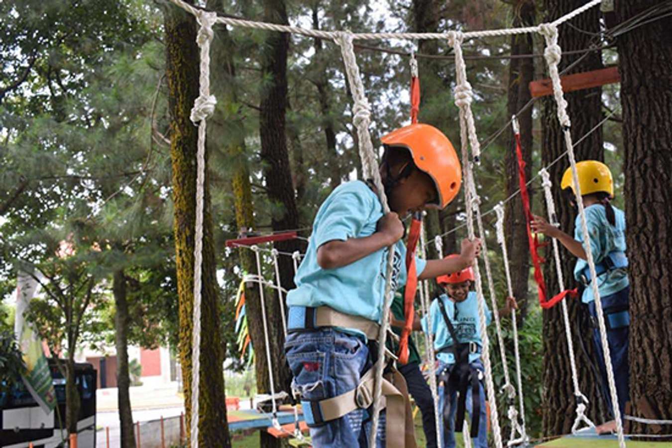 5 Tempat Wisata di Bogor Ini Cocok Dikunjungi di Akhir Pekan