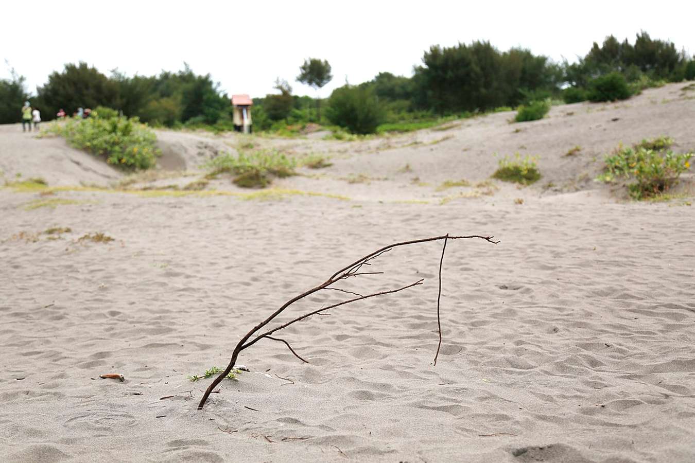 13 Rekomendasi Wisata di Bantul Hits untuk Alternatif Liburanmu!