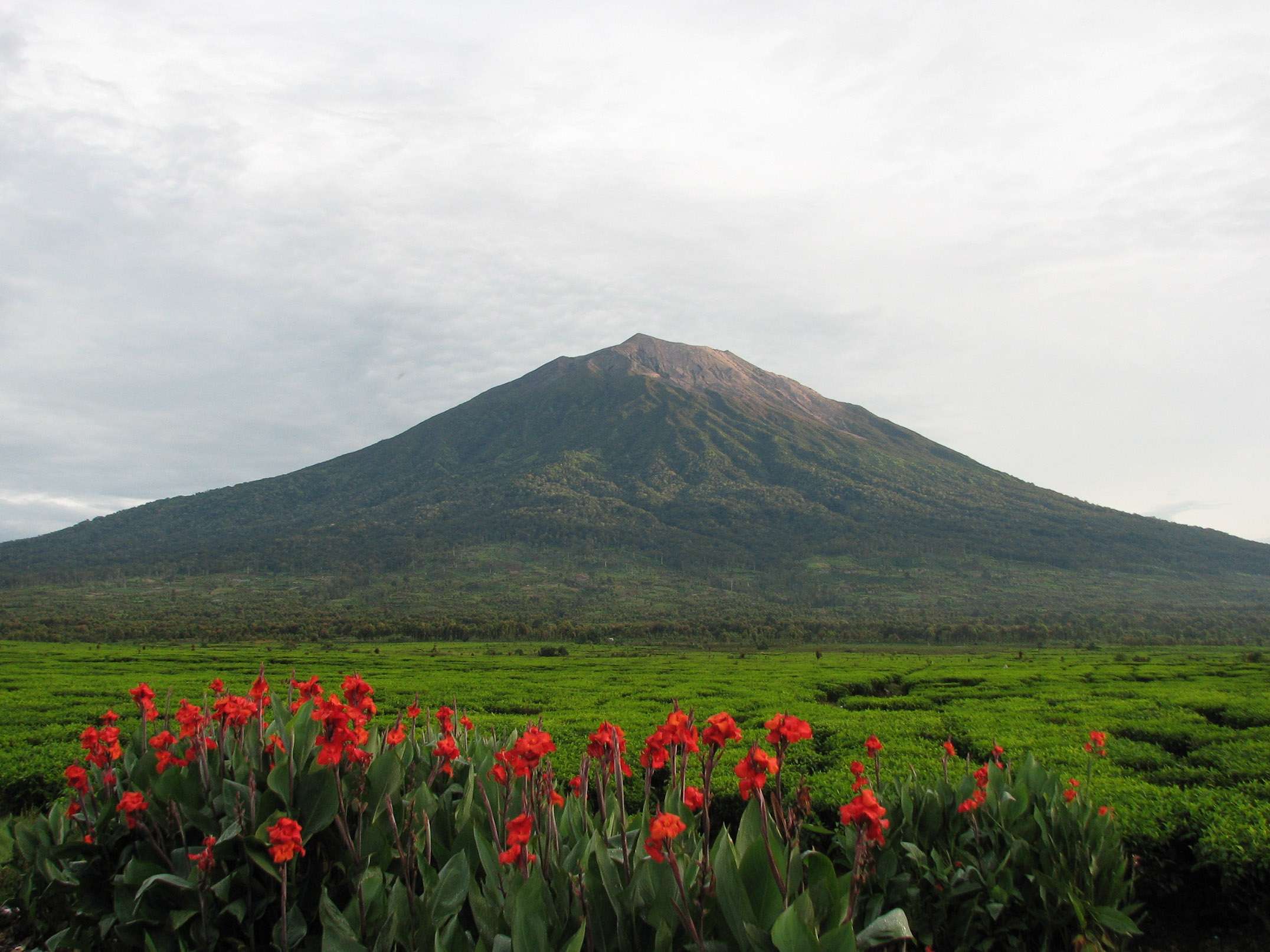 8 Gunung Tertinggi Di Pulau Sumatera Yang Cocok Buat Pencinta Alam
