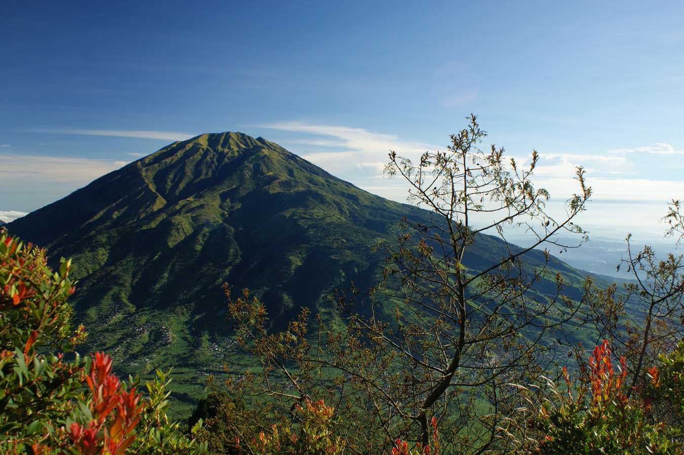 Mengenal Taman Nasional Gunung Merbabu