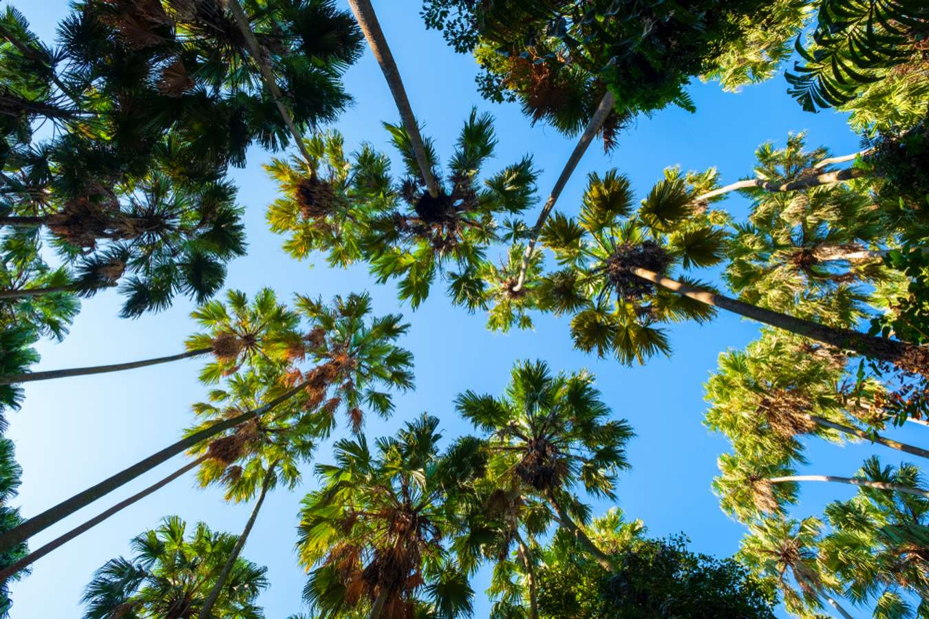 Be amazed with these 15 spots and begin an excited journey in Udon Thani