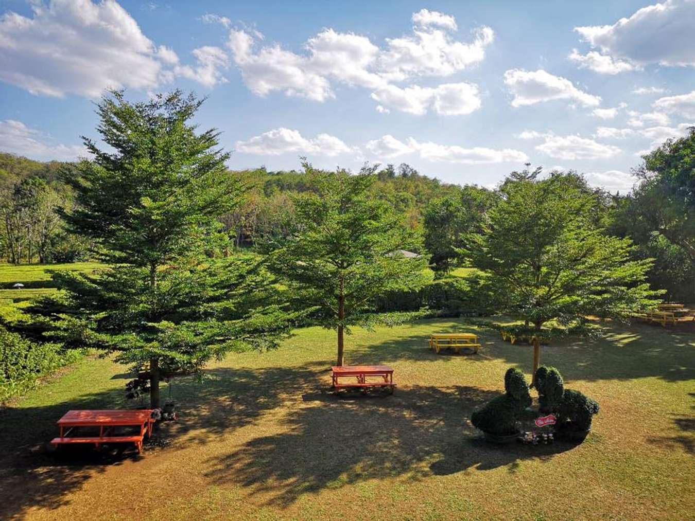 เปิดทริปธรรมชาติภาคอีสาน ลุยโคราชแบบเดินทางง่ายได้โอโซนไปเต็มๆ