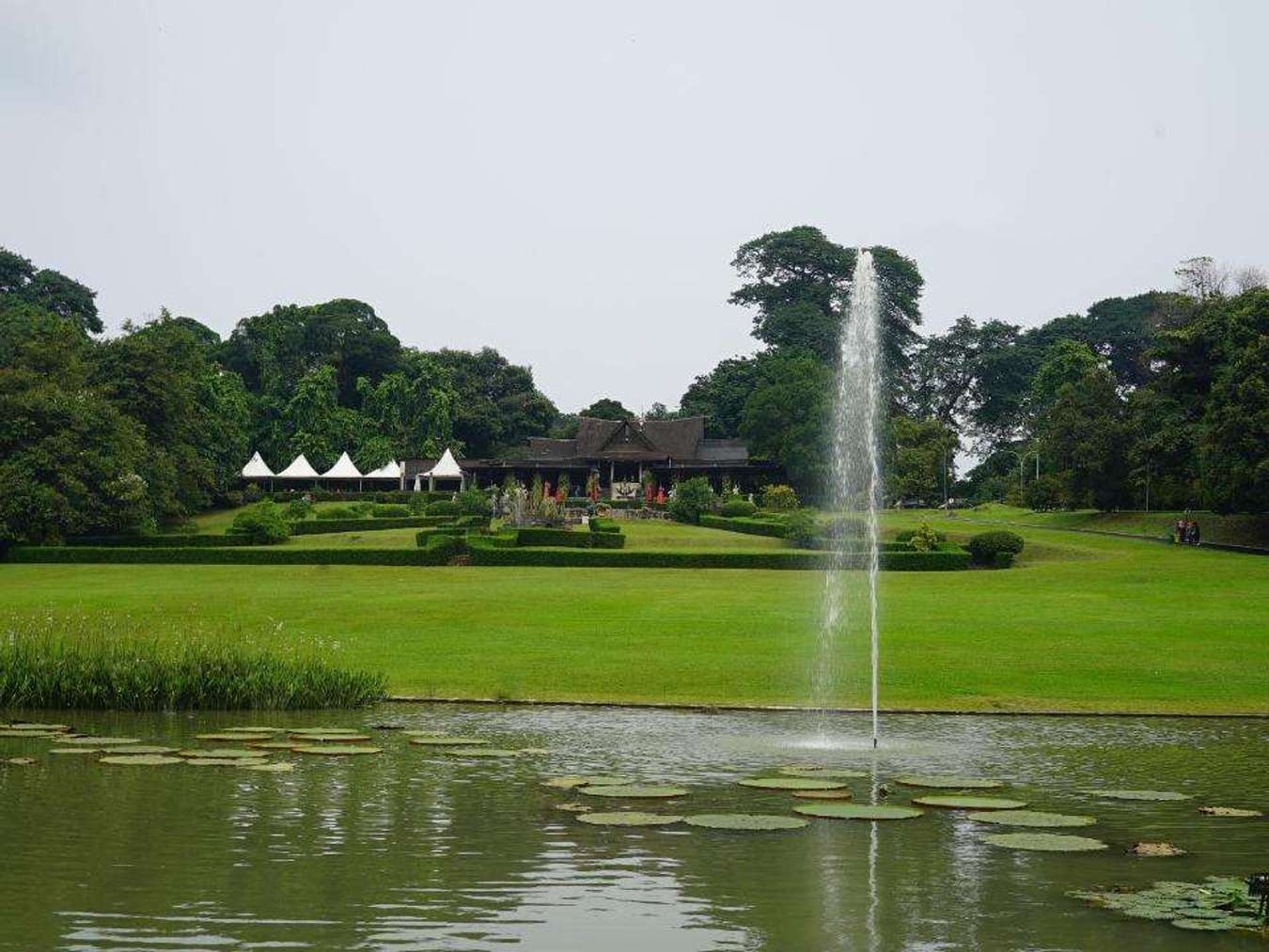 7 Destinasi Tempat Healing di Bogor Terbaik