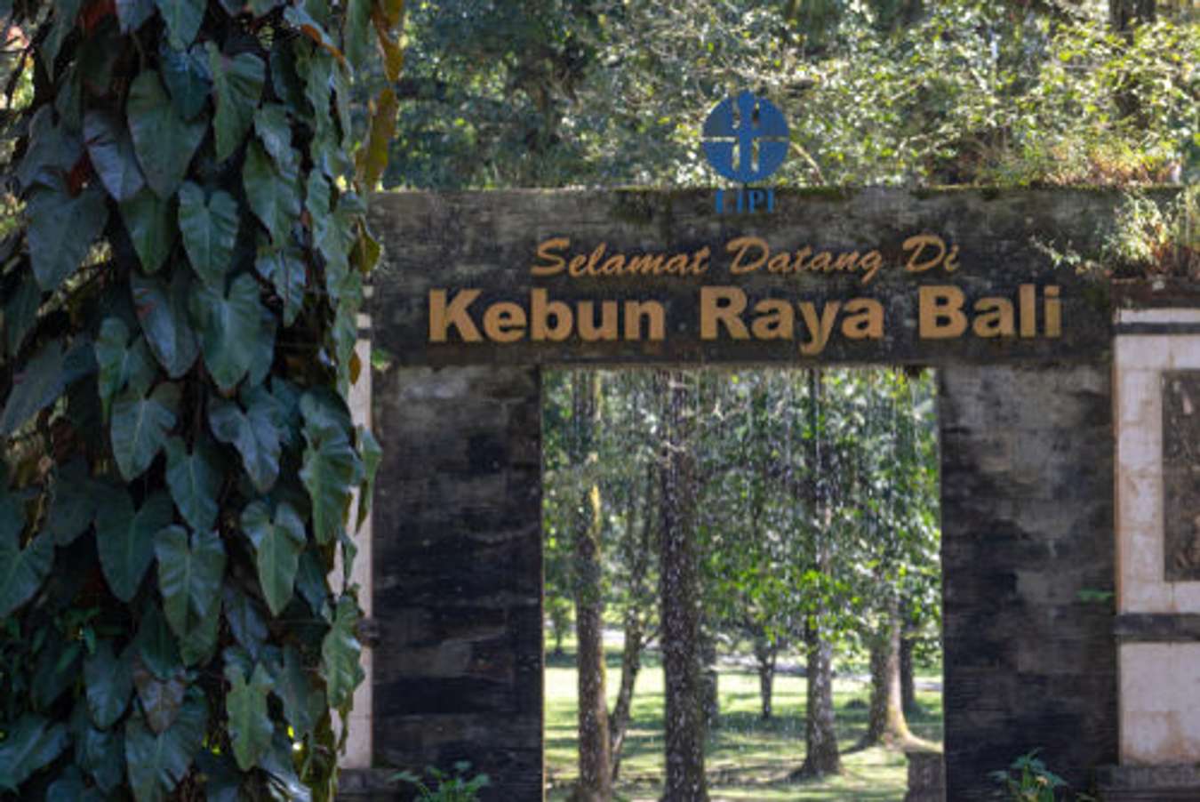 Flora Timur Indonesia di Kebun Raya Bali