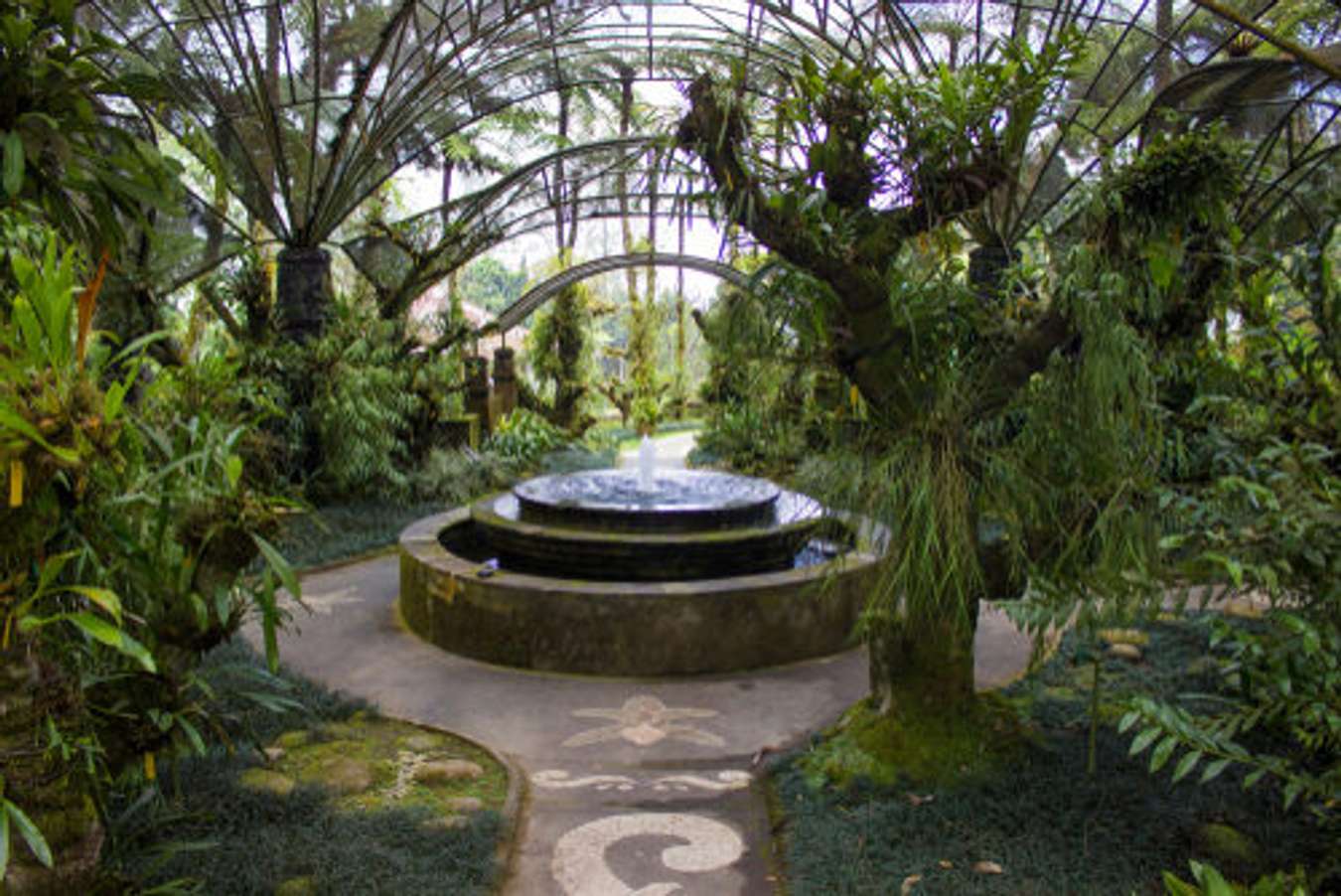 Flora Timur Indonesia di Kebun Raya Bali