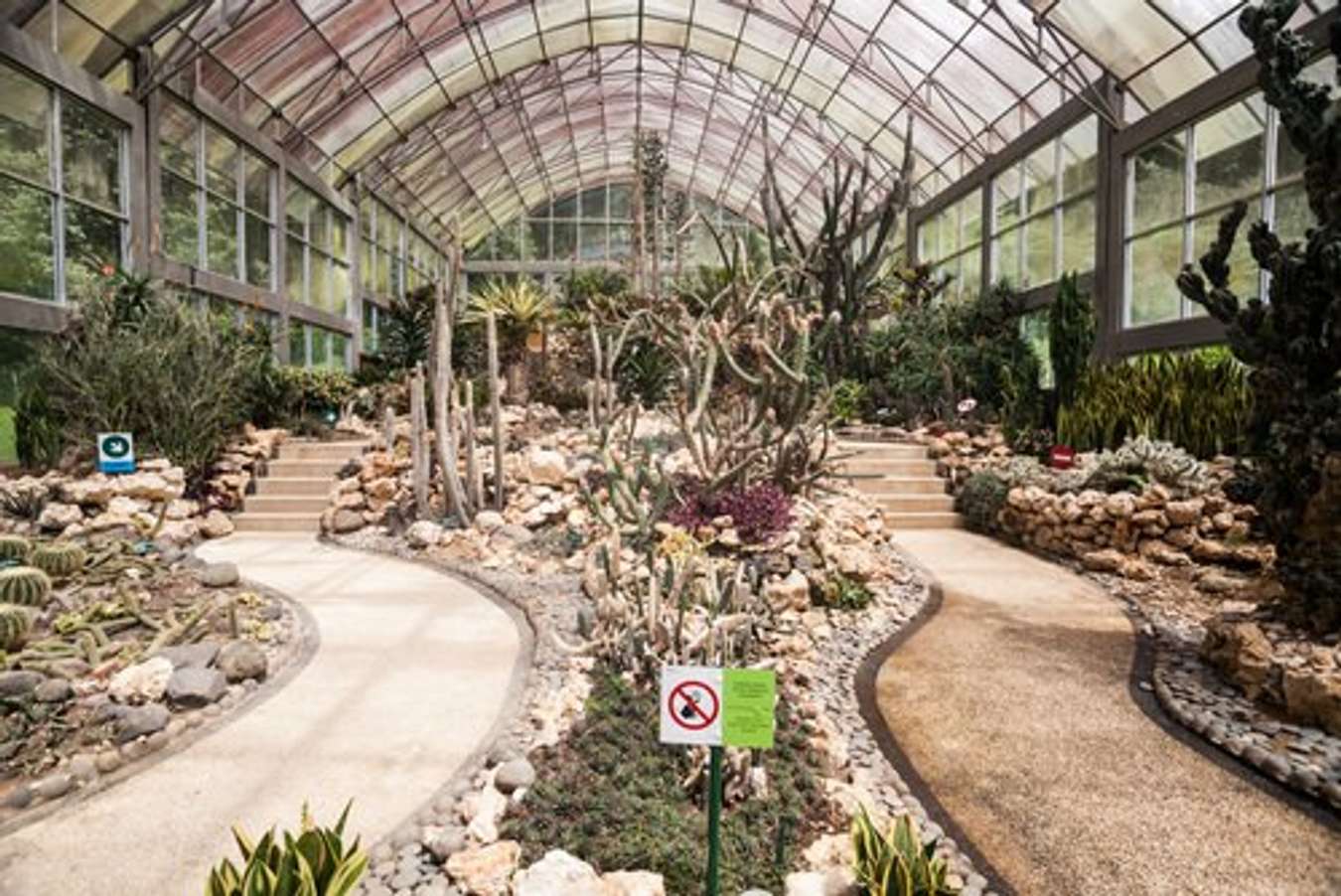 Flora Timur Indonesia di Kebun Raya Bali