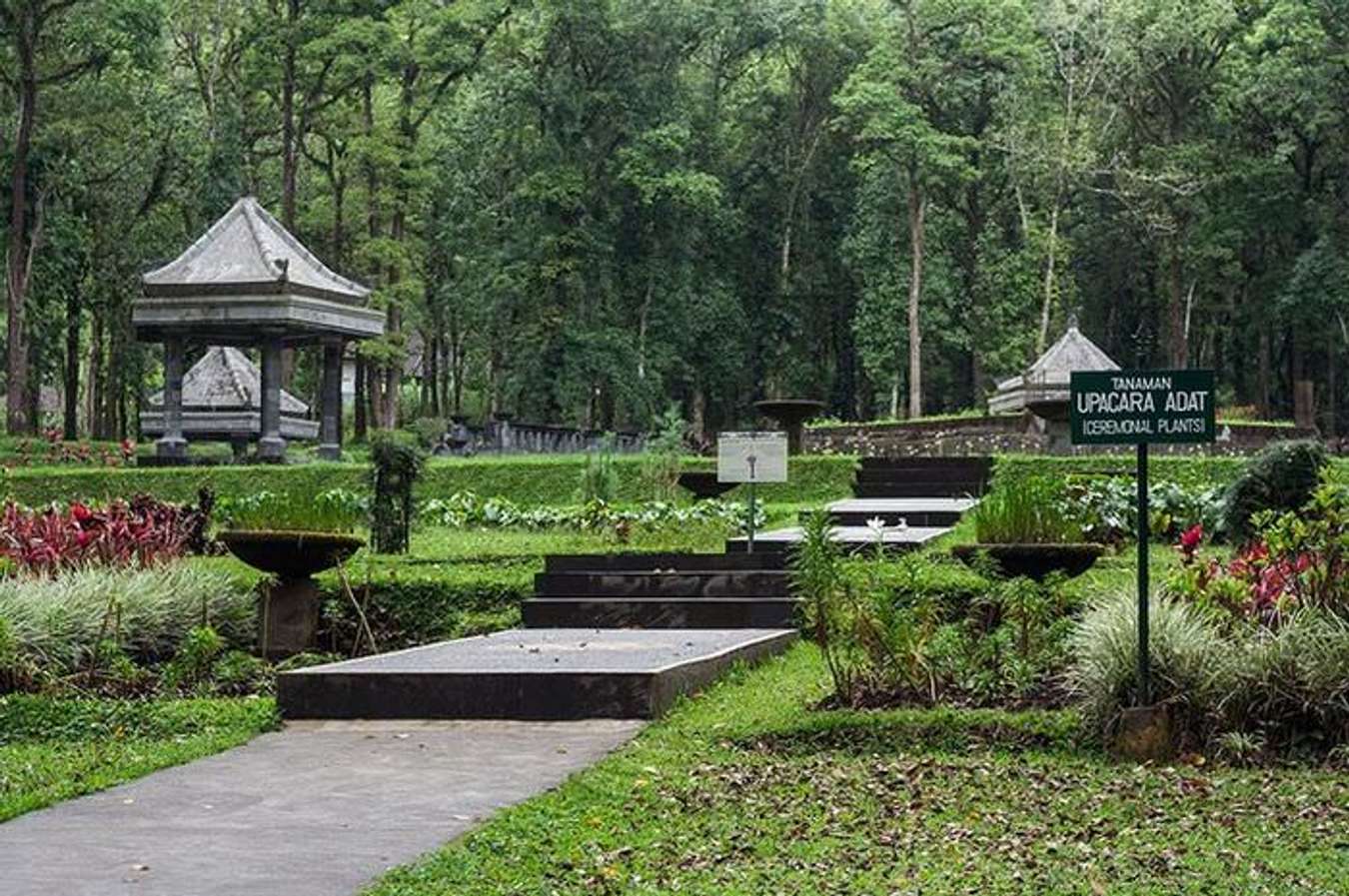 Flora Timur Indonesia di Kebun Raya Bali